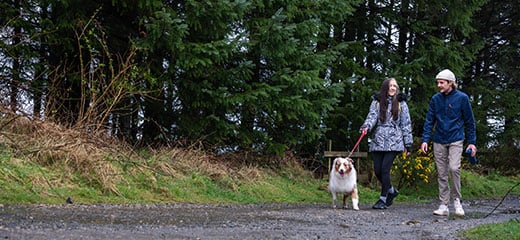 About Standard Bank Offshore | Standard Bank